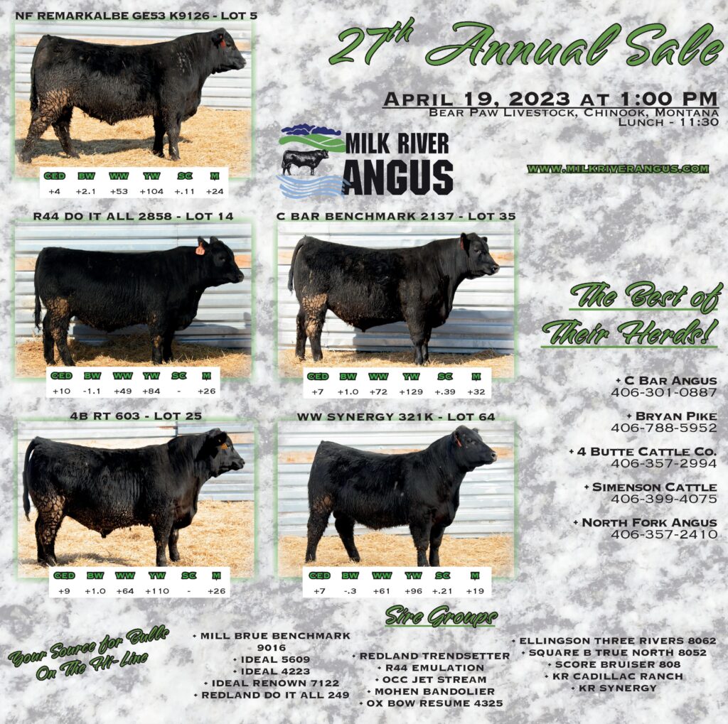 Home | Milk River Angus